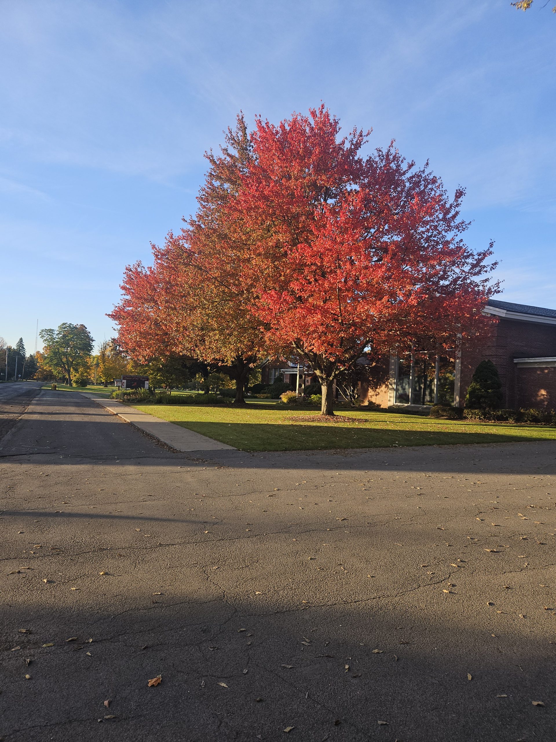 Missions and Outreach – Saint Paul's United Methodist Church